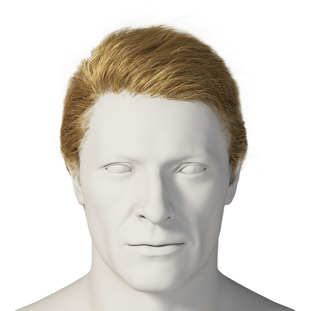 3D Realistical Hairstyle Human Hair Model - TurboSquid 1542880
