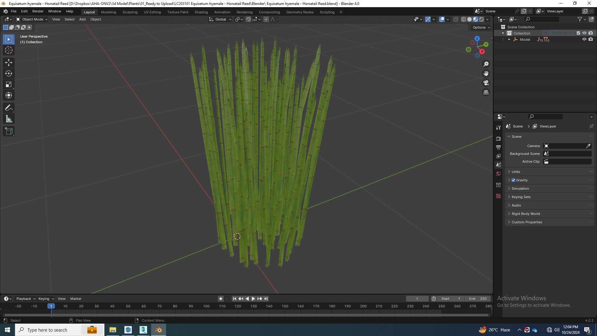 3D Model Equisetum Hyemale - Horsetail Reed - TurboSquid 2297504