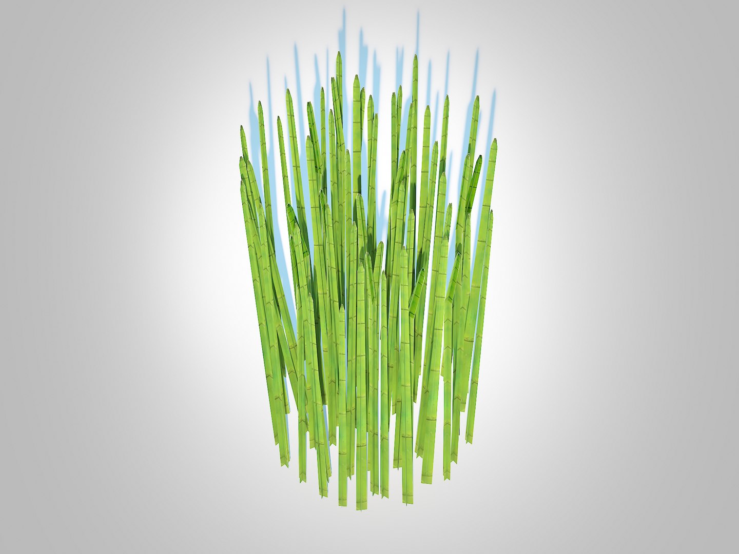 3D Model Equisetum Hyemale - Horsetail Reed - TurboSquid 2297504