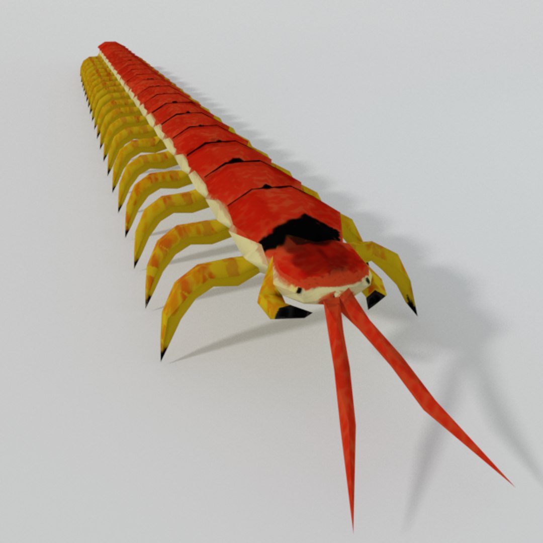Scolopendra Model - TurboSquid 1318859