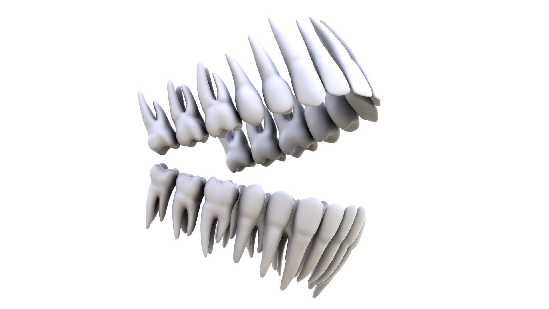 3D Teeth Model - TurboSquid 2278040
