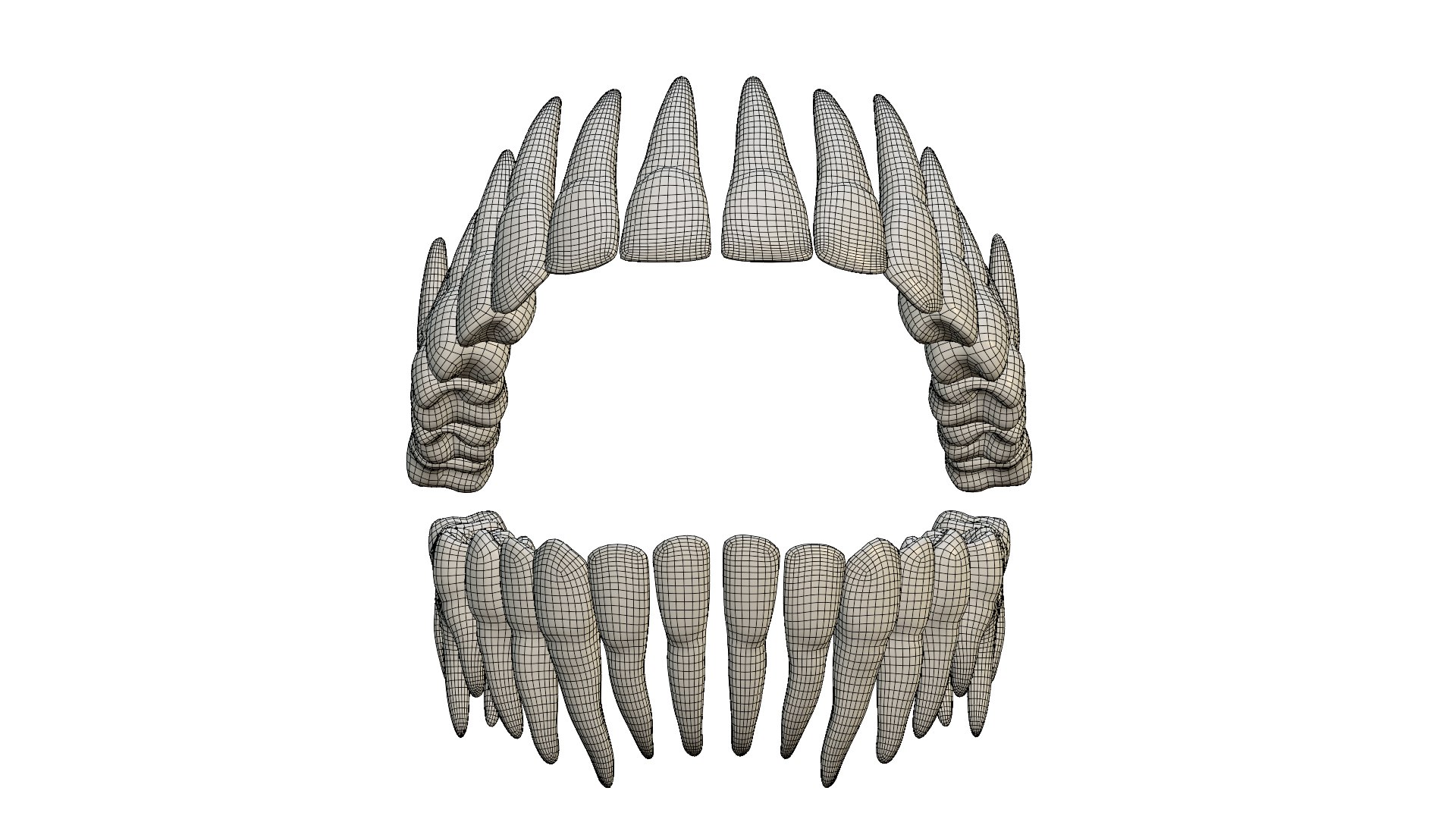 3D Teeth Model - TurboSquid 2278040