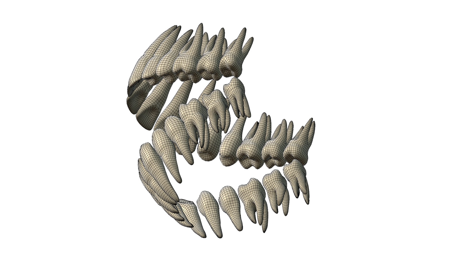 3D Teeth Model - TurboSquid 2278040