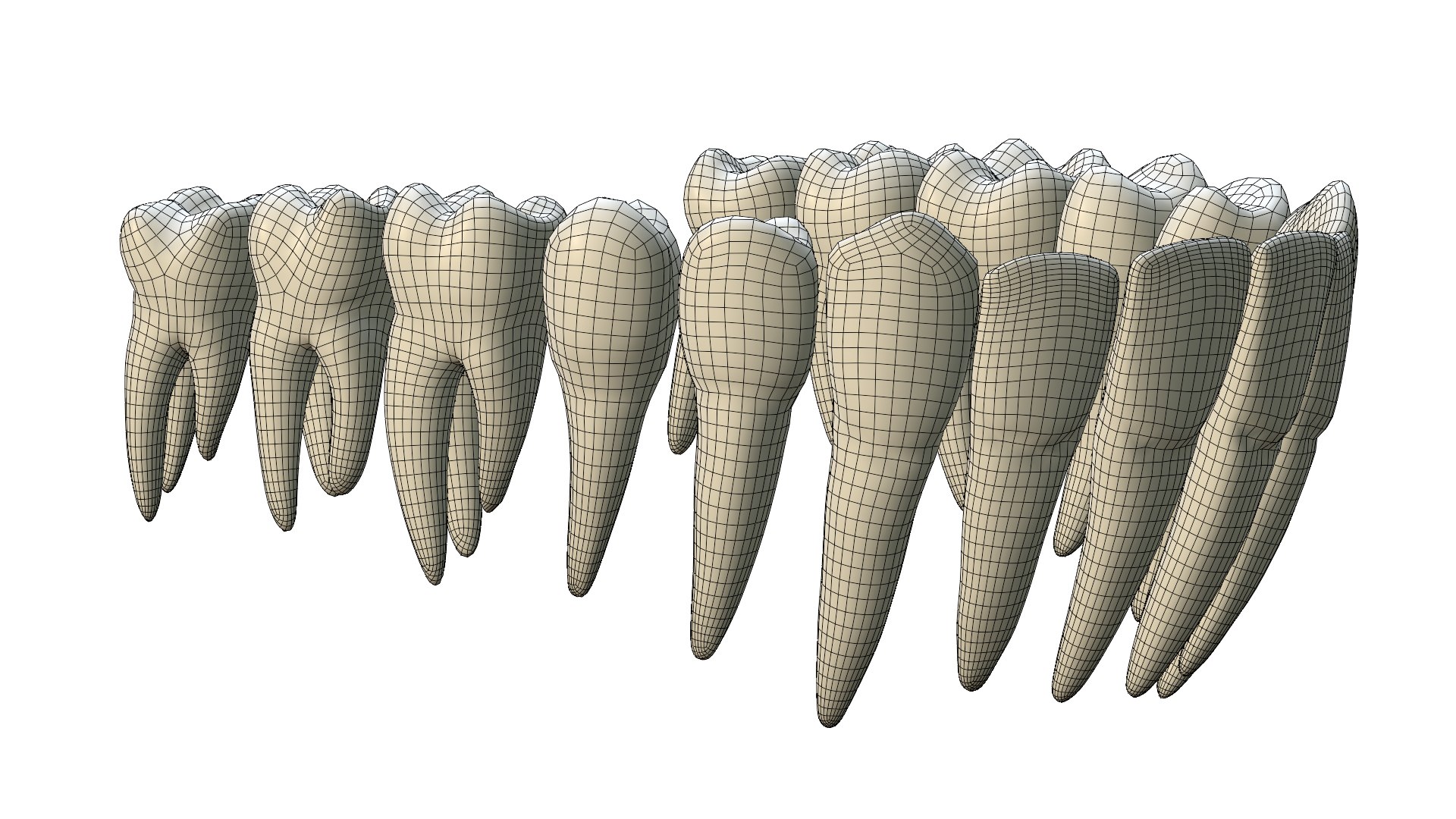 3D Teeth Model - TurboSquid 2278040