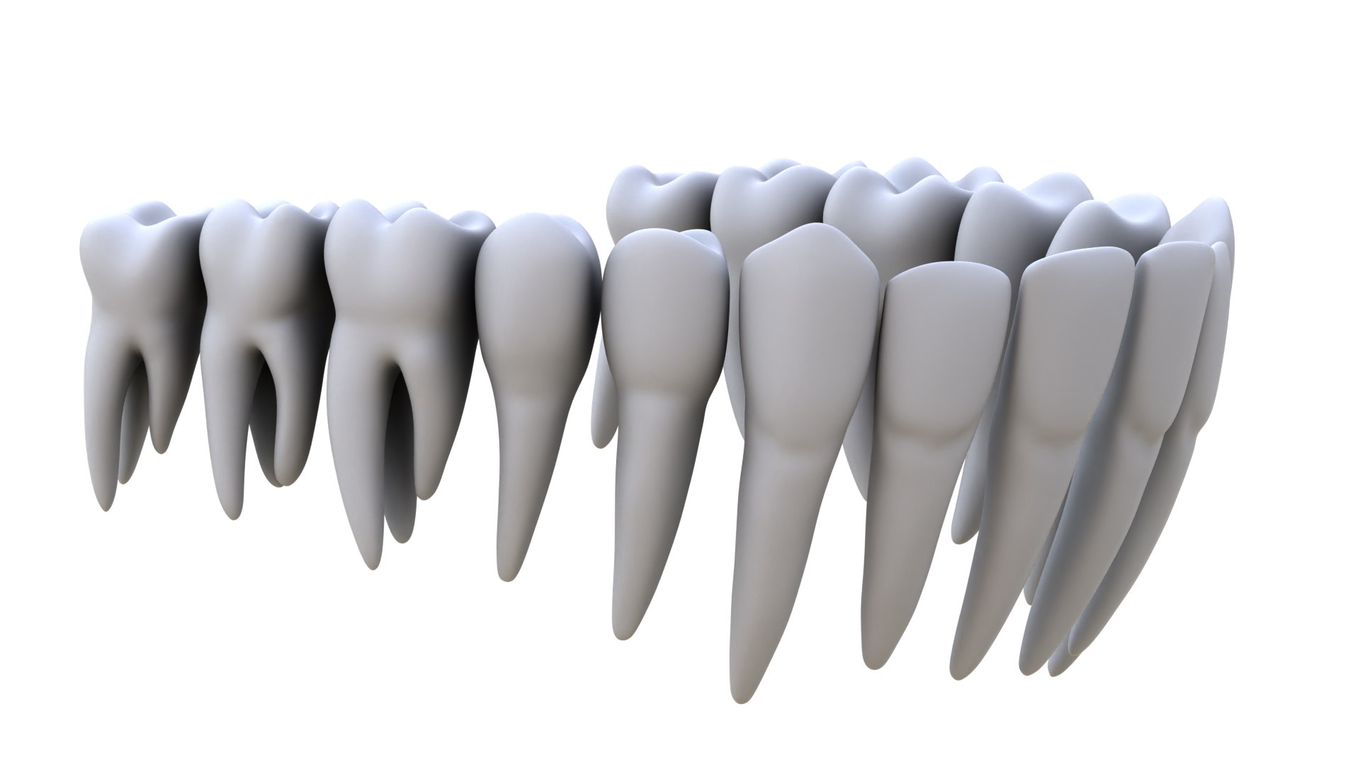 3D Teeth Model - TurboSquid 2278040