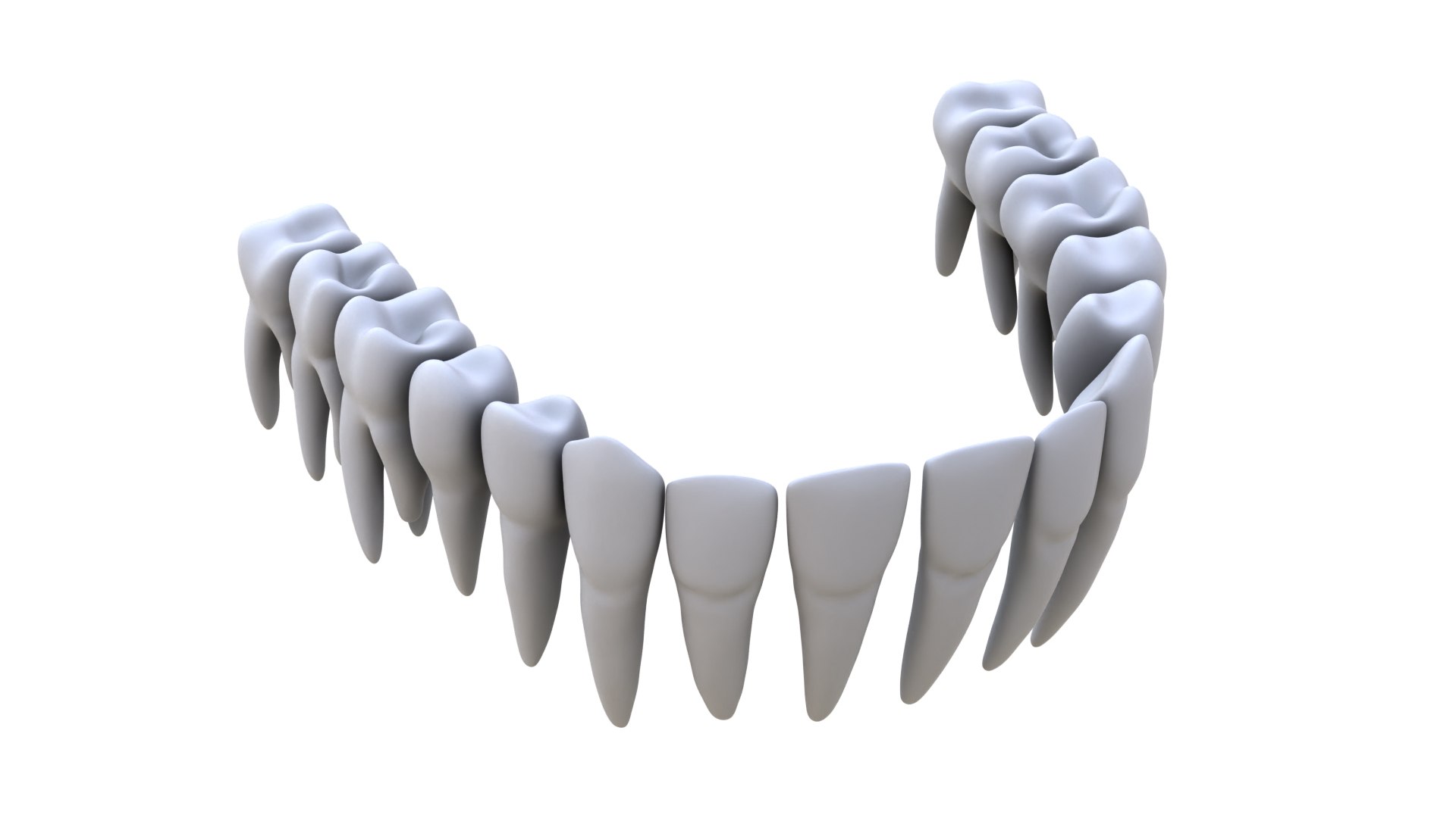 3D Teeth Model - TurboSquid 2278040