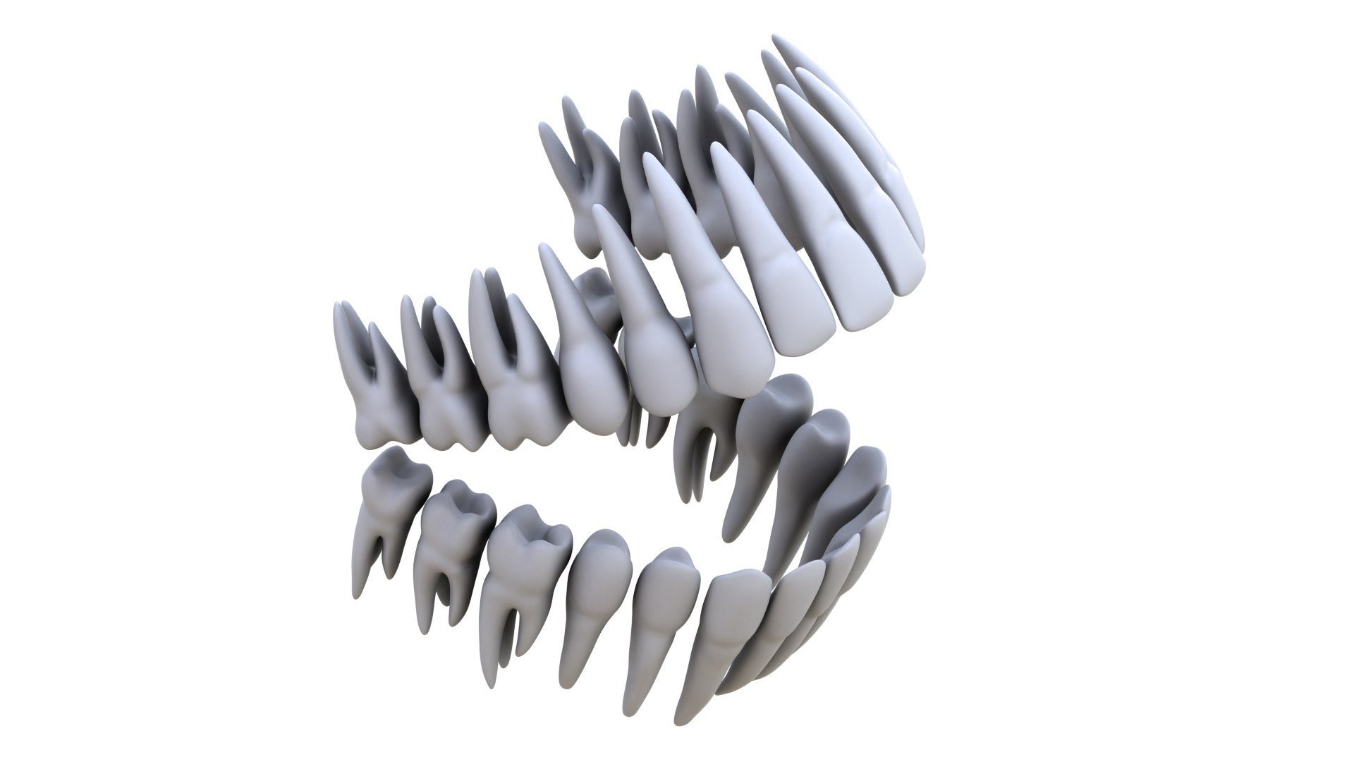 3D Teeth Model - TurboSquid 2278040