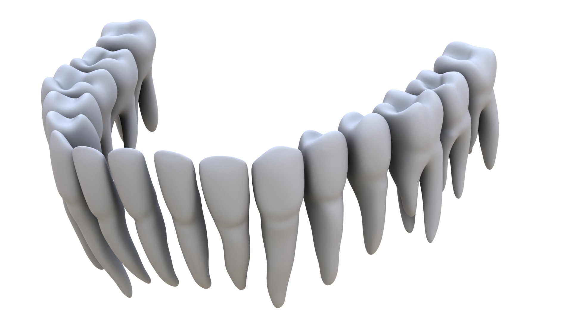 3D Teeth Model - TurboSquid 2278040