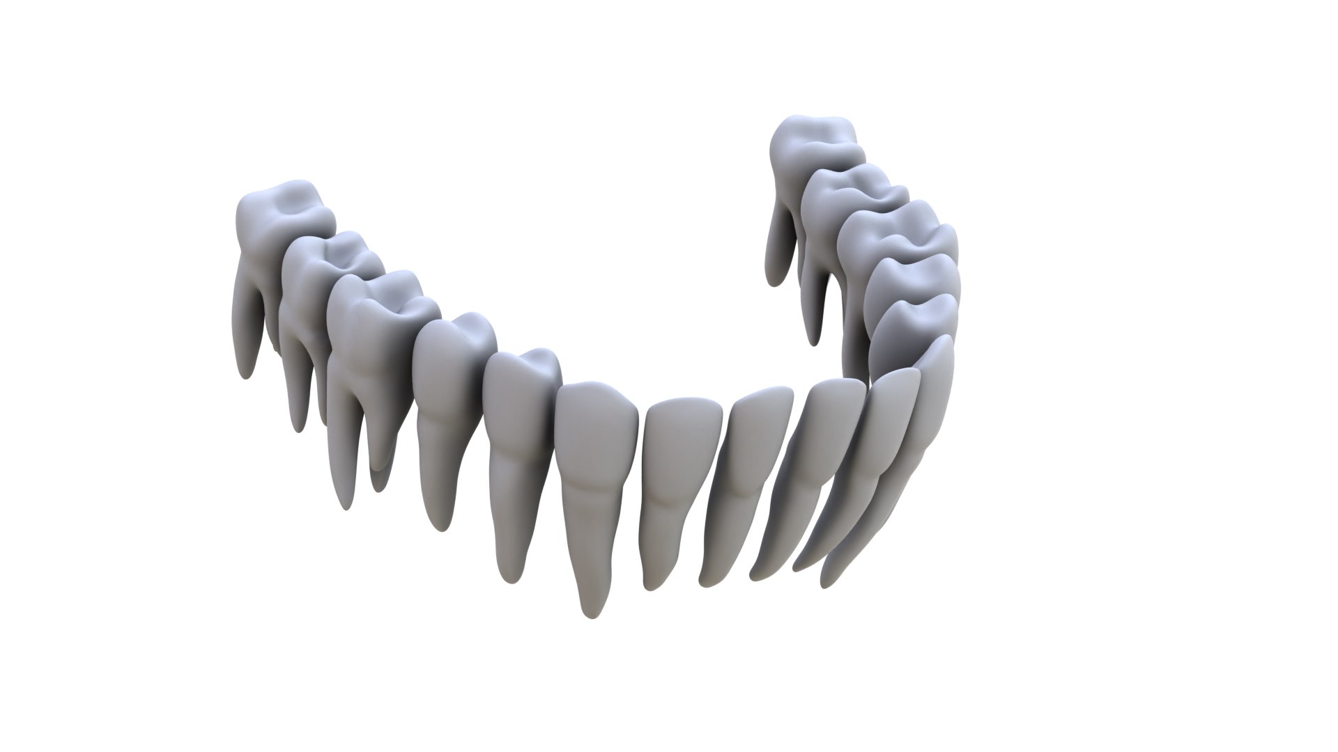 3D Teeth Model - TurboSquid 2278040