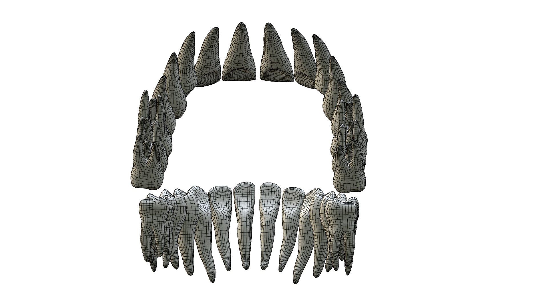 3D Teeth Model - TurboSquid 2278040