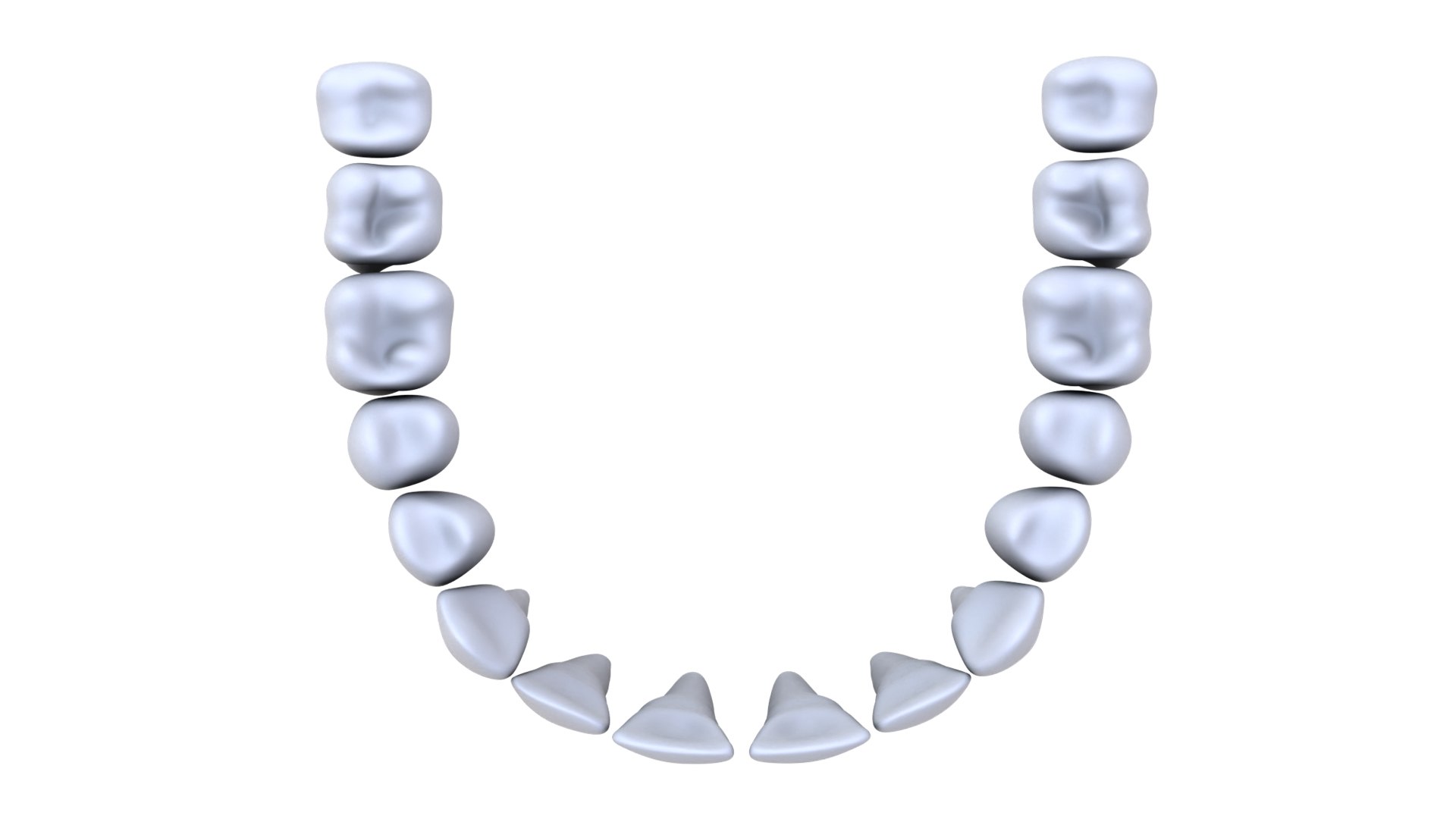 3D Teeth Model - TurboSquid 2278040