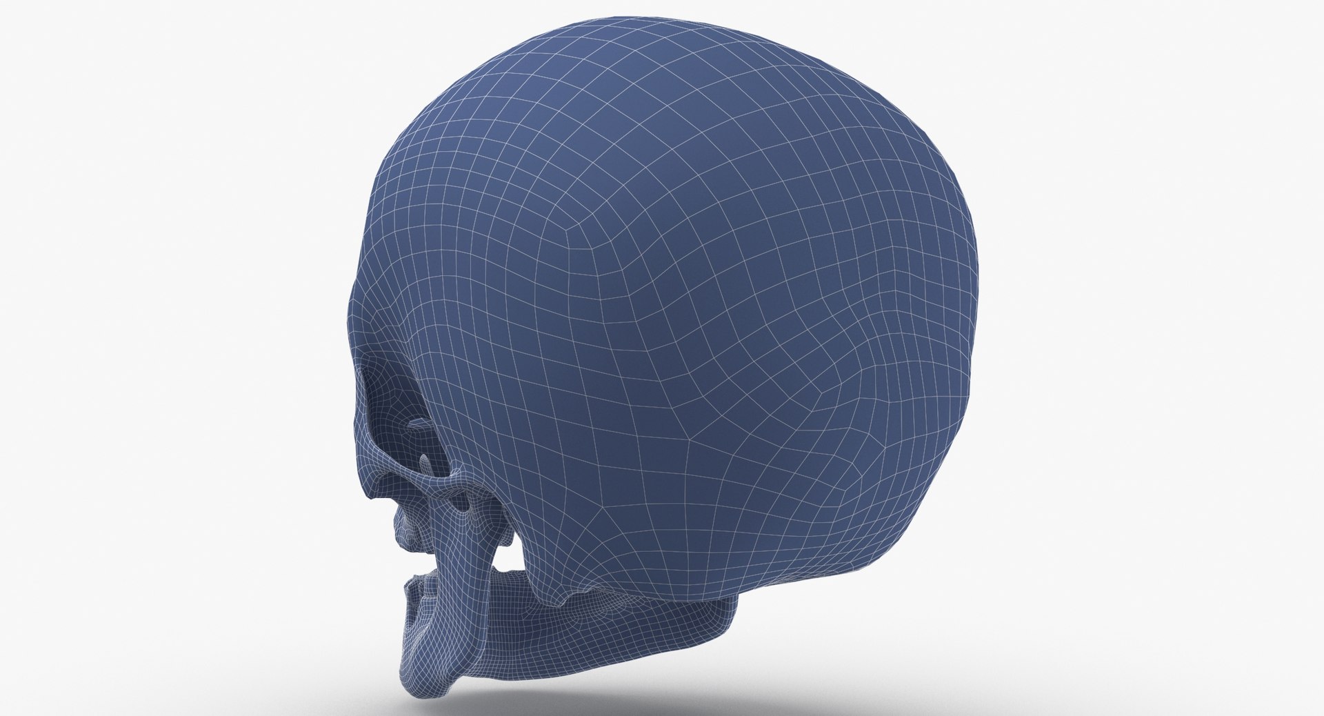 3D Human Female Skull Damaged - TurboSquid 1469101
