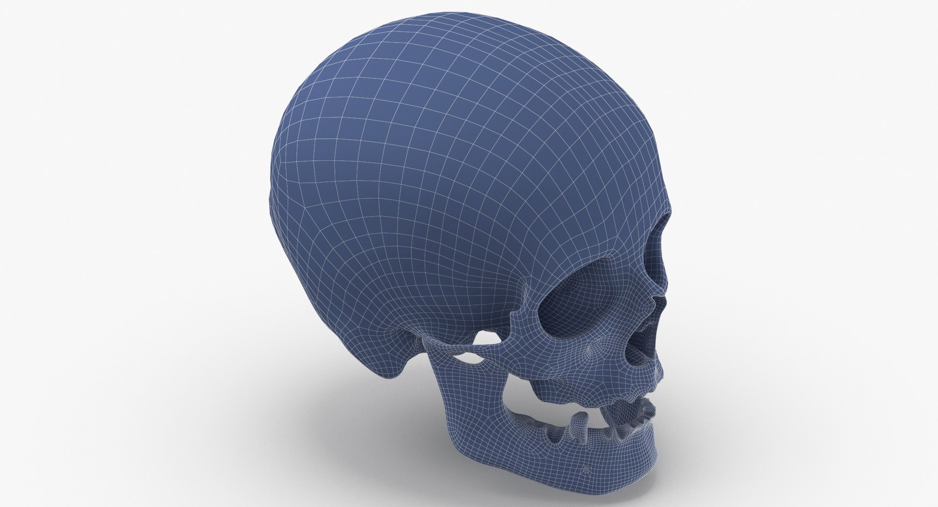 3D Human Female Skull Damaged - TurboSquid 1469101