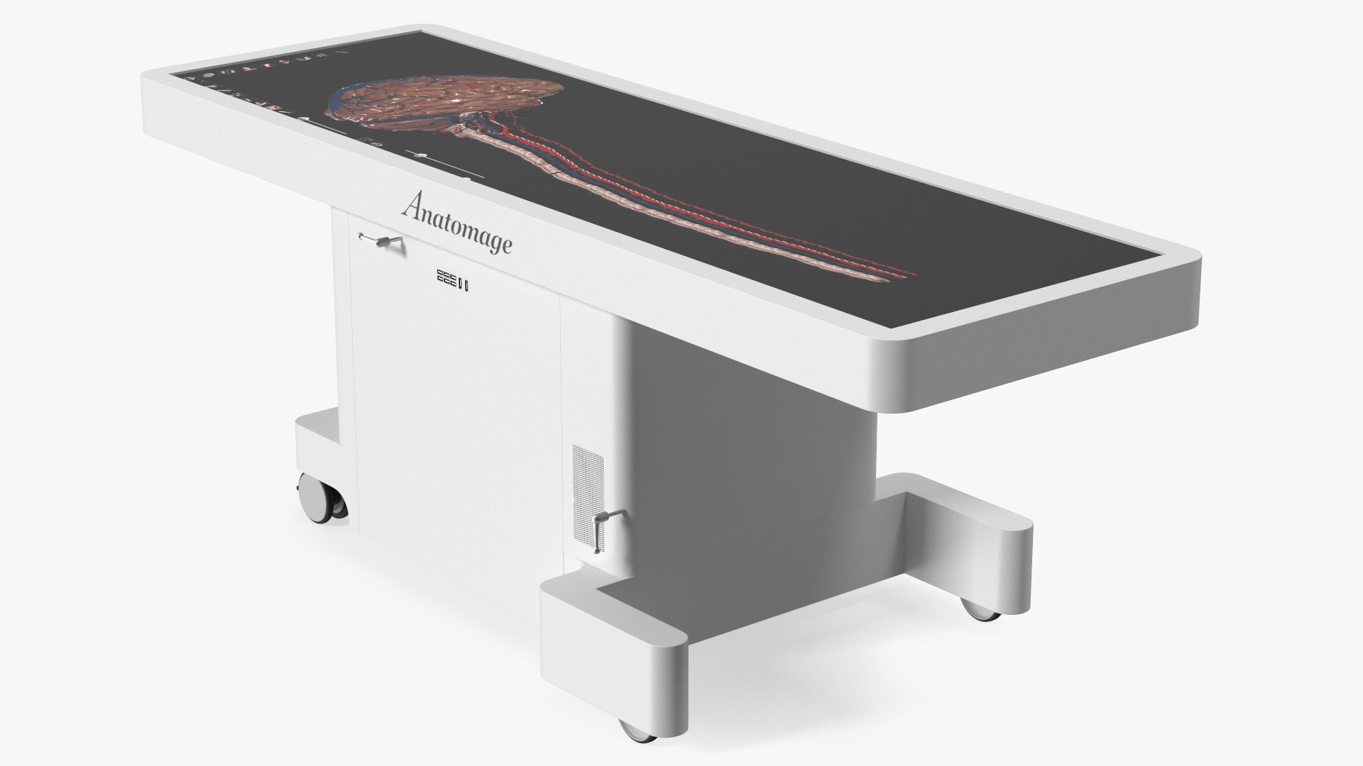Horizontal Interactive Table With Display The Brain Device 3D ...