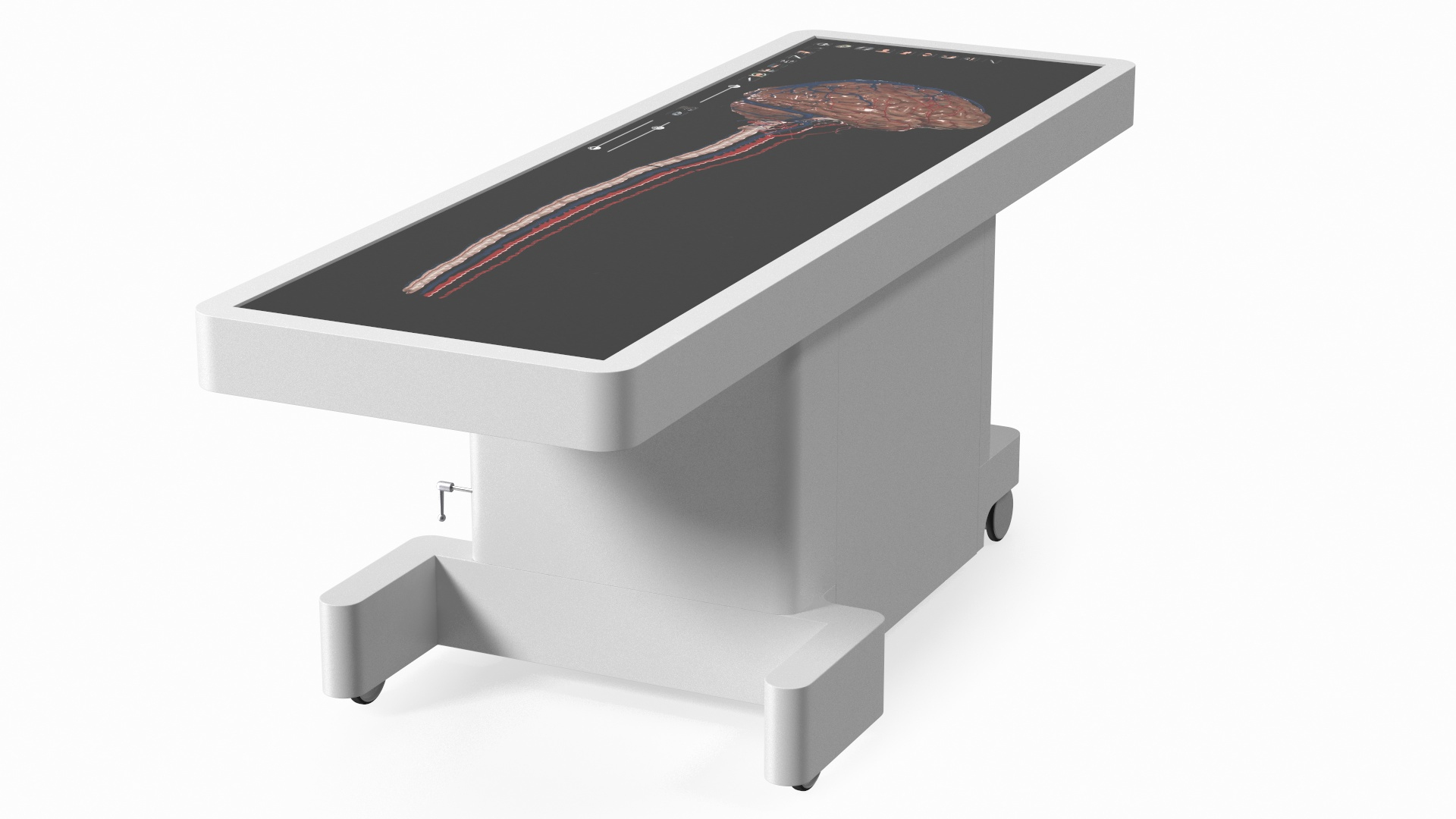 Horizontal Interactive Table With Display The Brain Device 3D ...