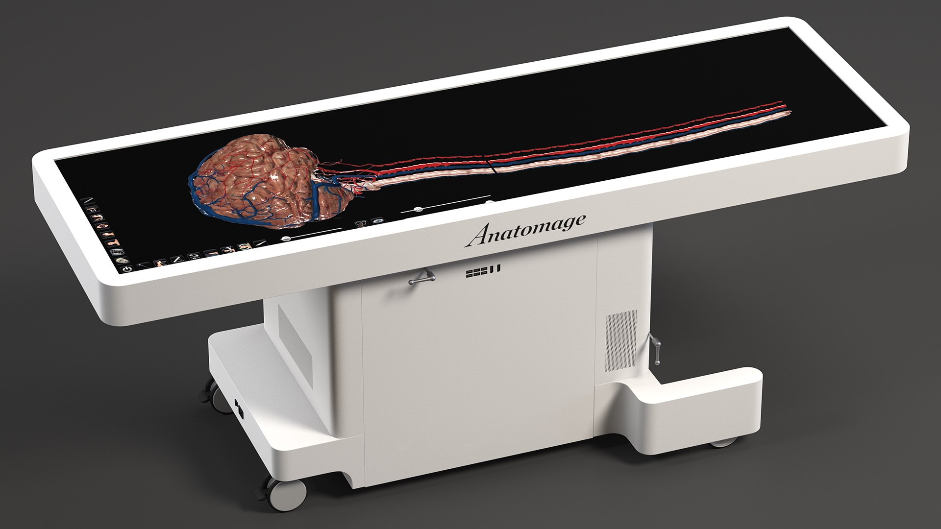 Horizontal Interactive Table With Display The Brain Device 3D ...