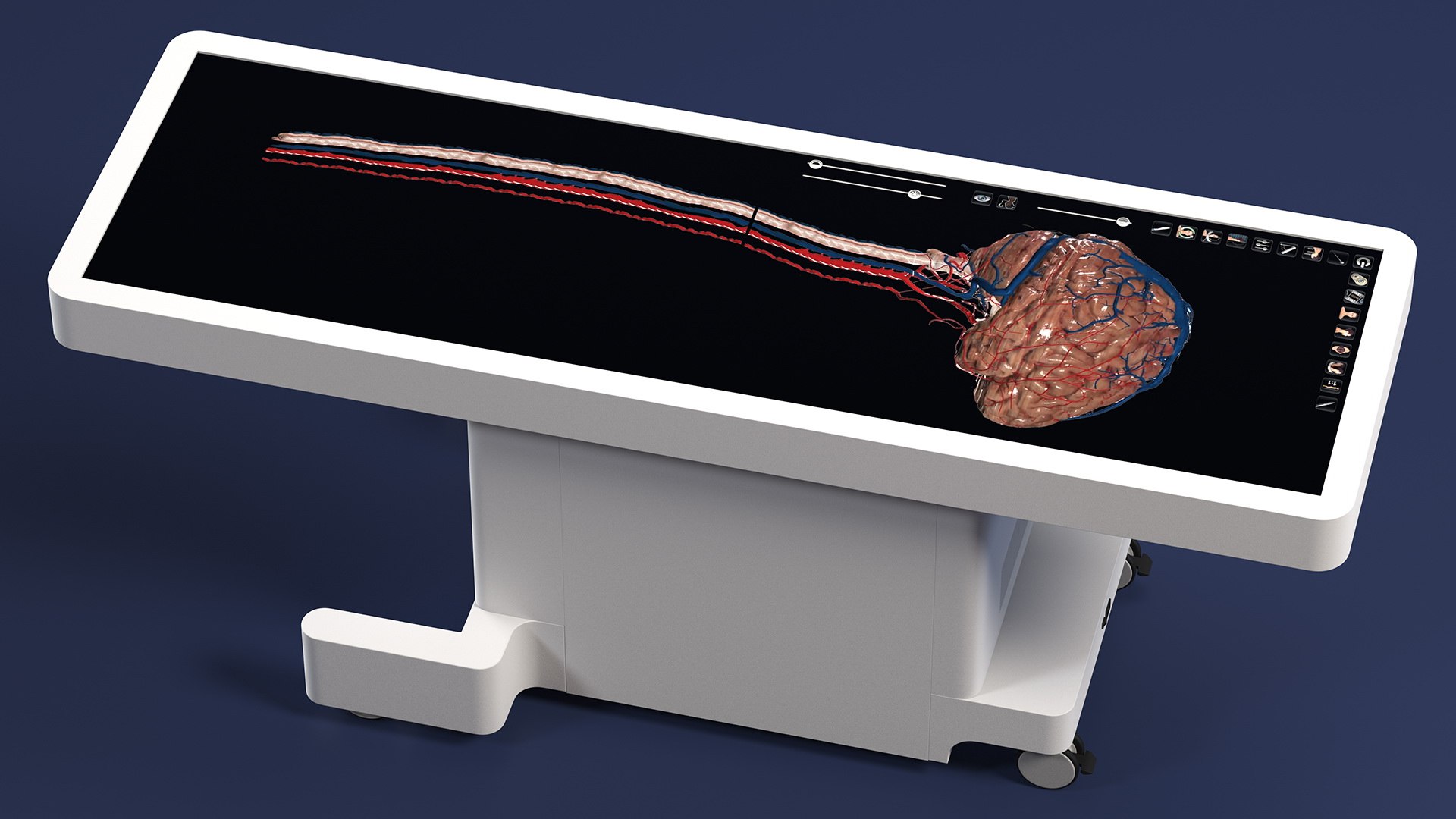 Horizontal Interactive Table With Display The Brain Device 3D ...