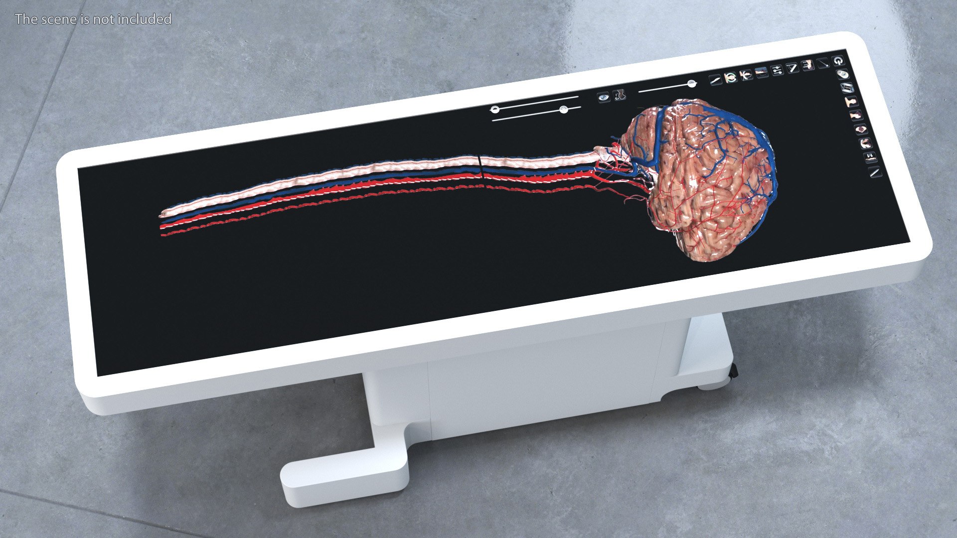 Horizontal Interactive Table With Display The Brain Device 3D ...