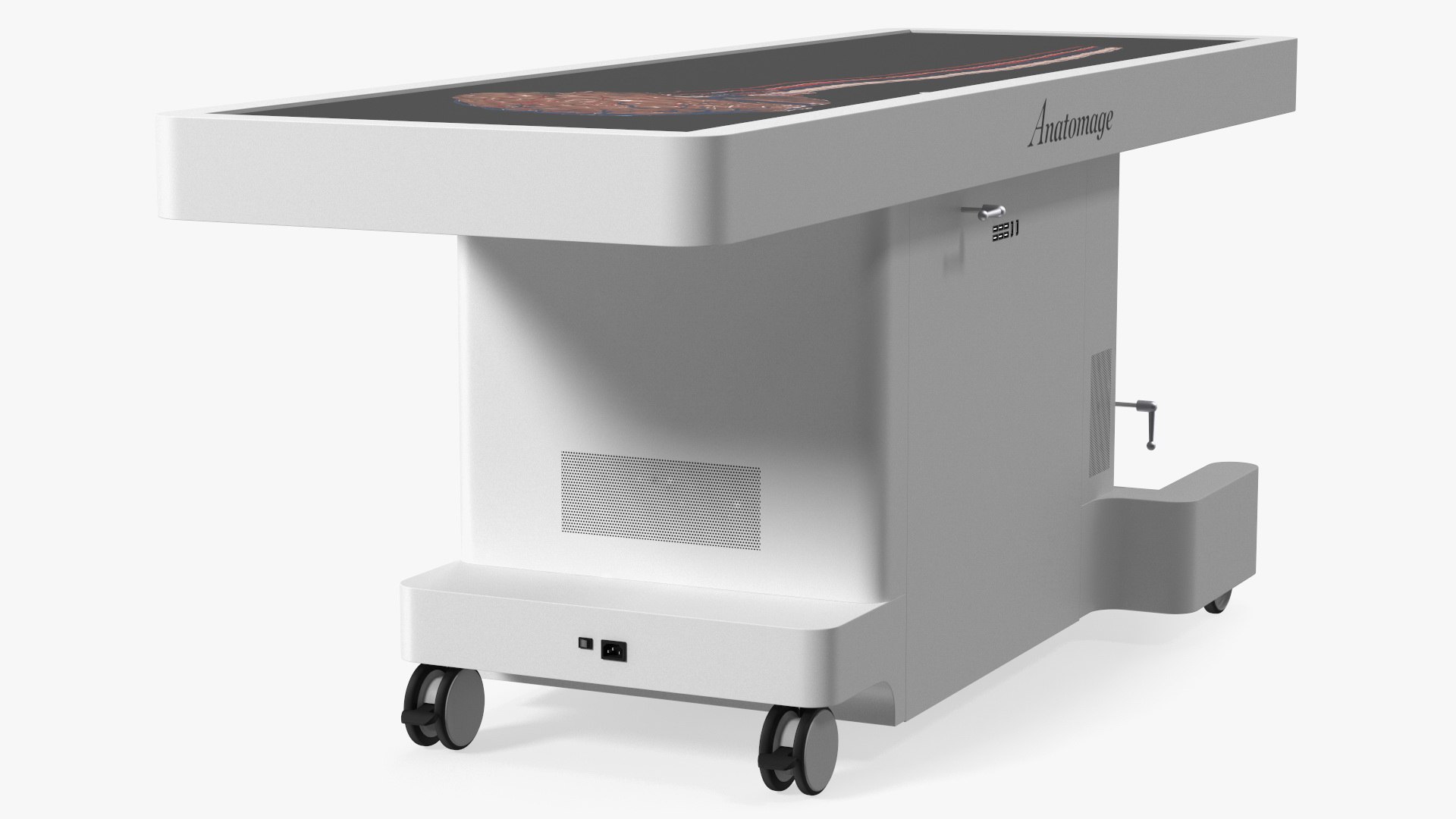 Horizontal Interactive Table With Display The Brain Device 3D ...