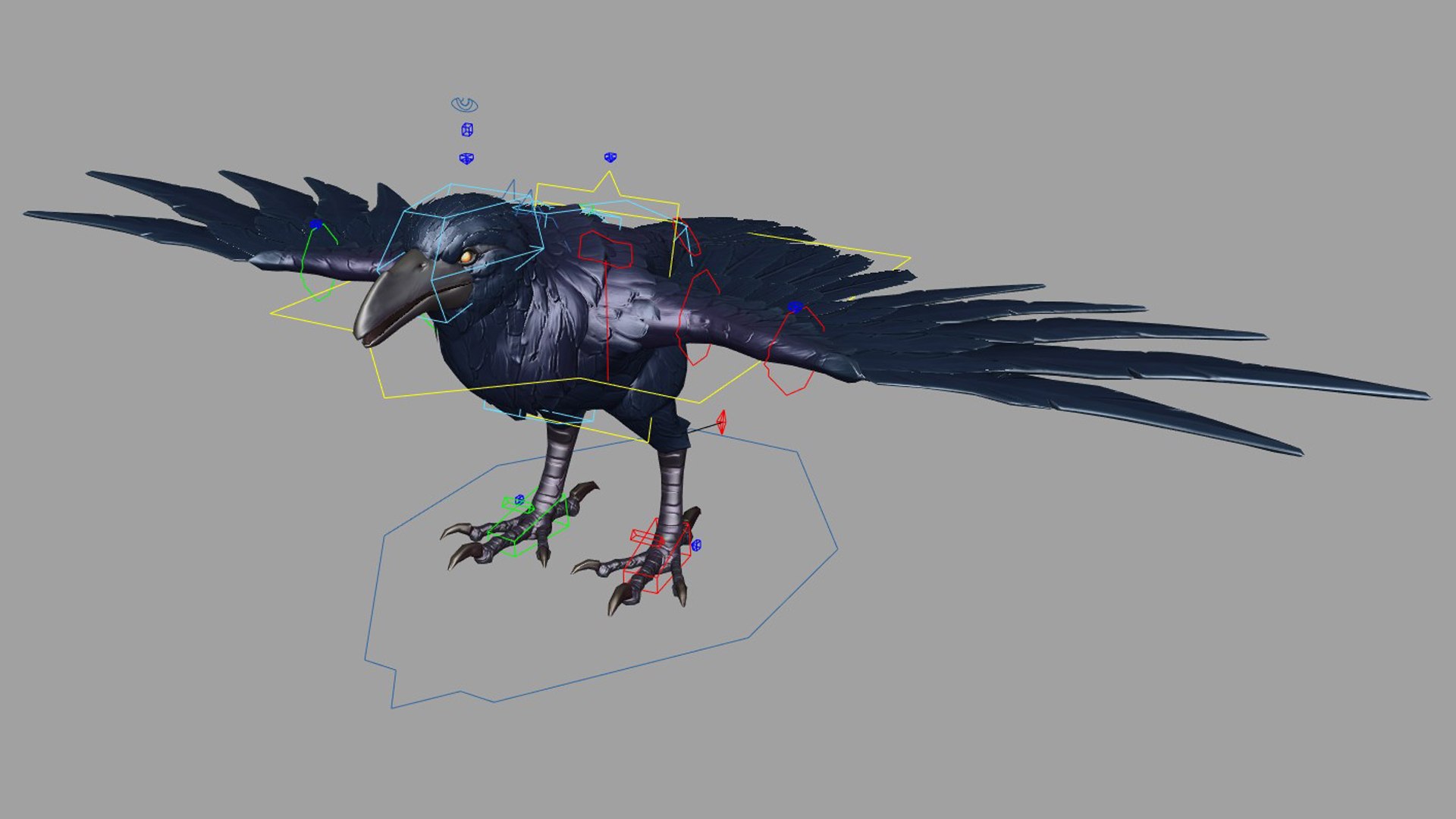 Vail Crow Anim Rig Model - TurboSquid 2163307