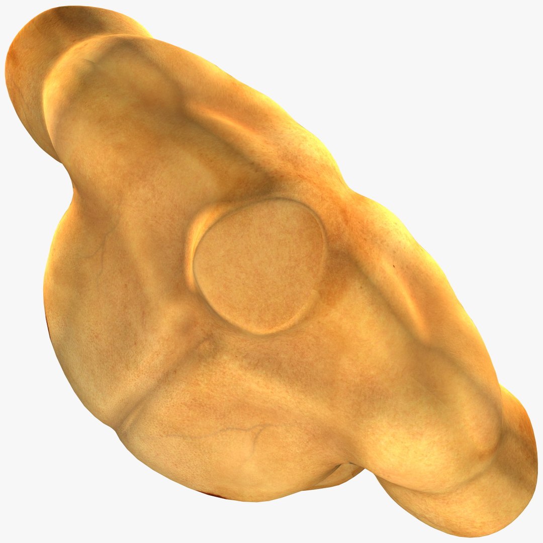 white male muscular torso max