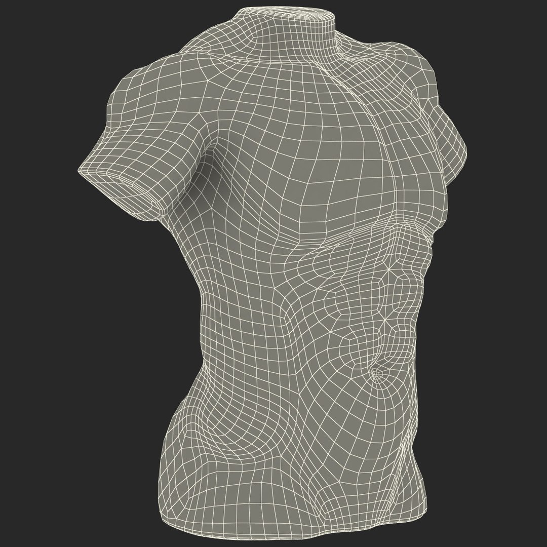 white male muscular torso max