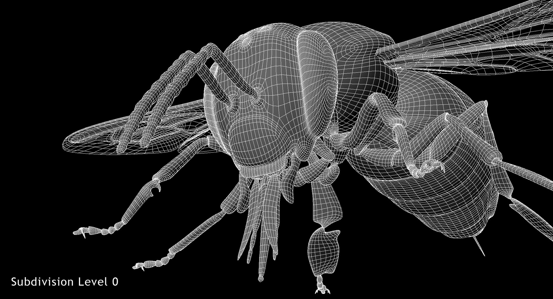 3D Honey Bee Animation Model | 1141992 | TurboSquid