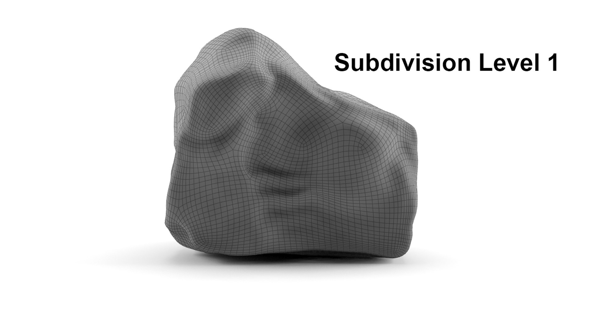 Fossil Animations 3d Model