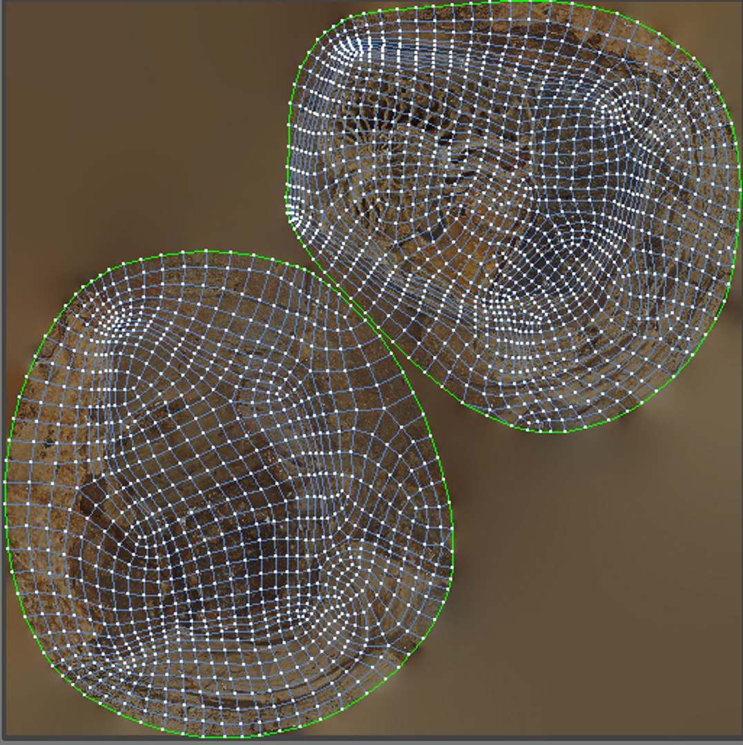 Fossil Animations 3d Model