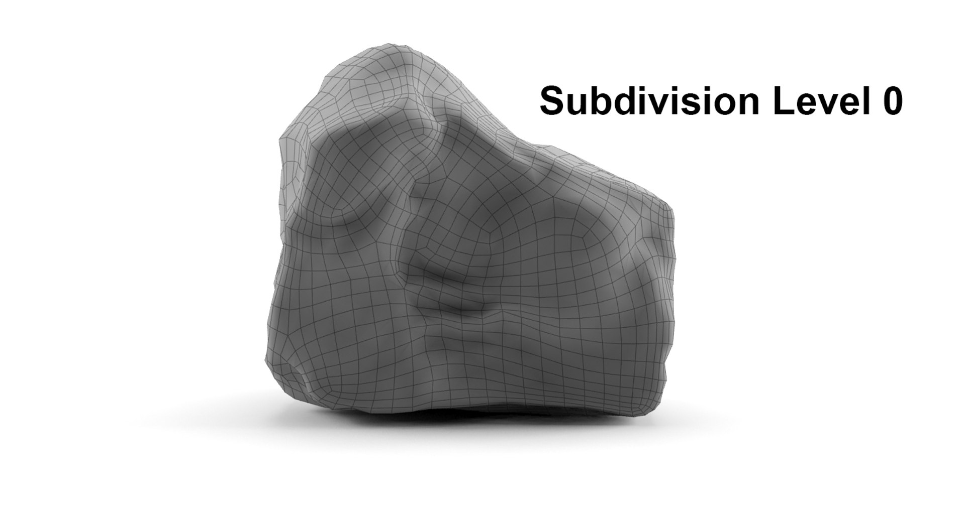 Fossil Animations 3d Model