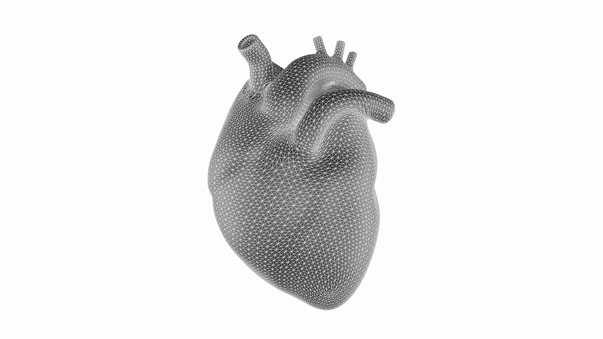 3D Human Heart 3D Model - Realistic Human Heart Anatomy Model ...