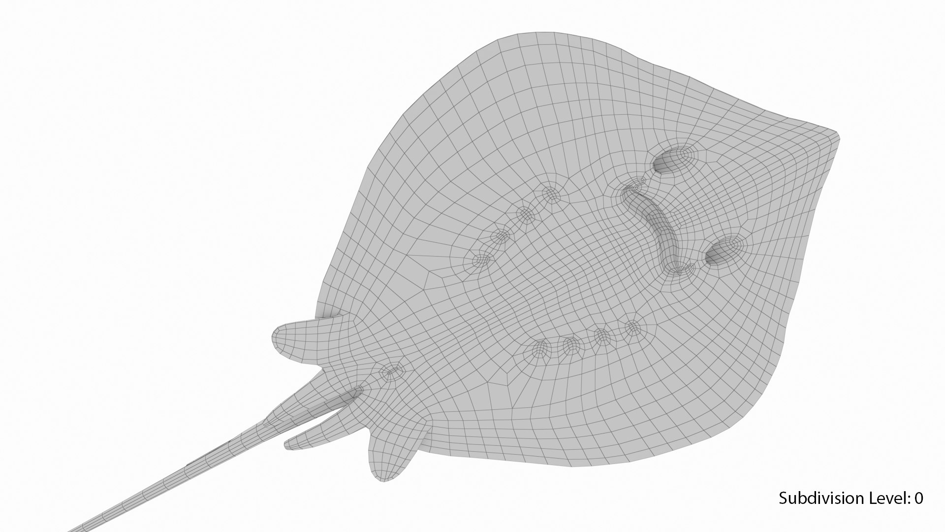 Stingray Animation Model - TurboSquid 1550534