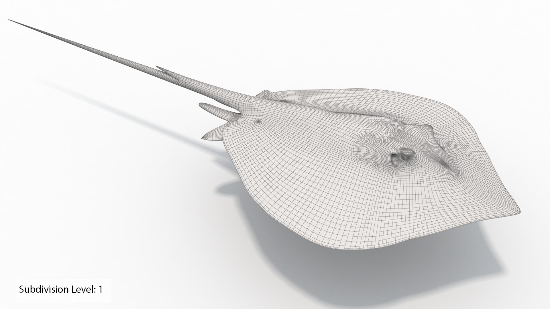 Stingray Animation Model - TurboSquid 1550534