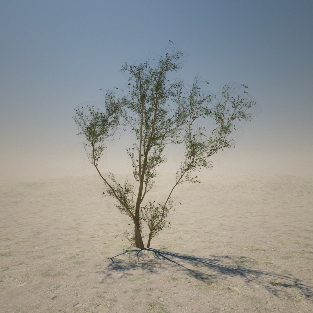 3d model desert plants pack