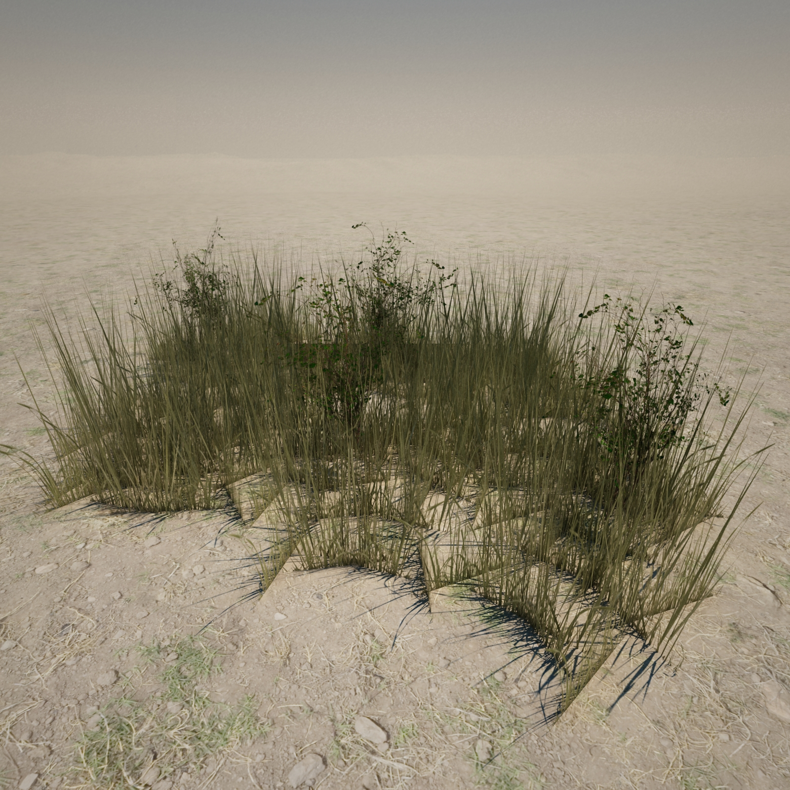 3d model desert plants pack