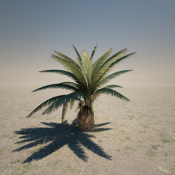 3d model desert plants pack