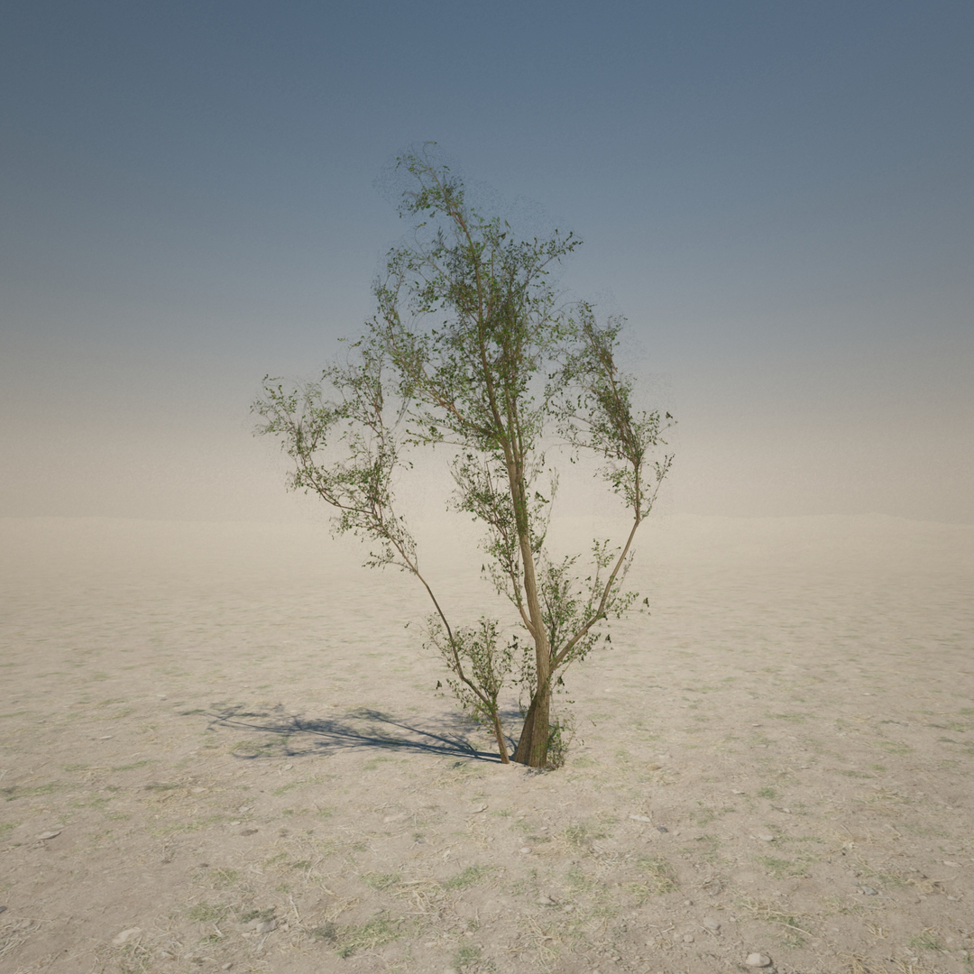 3d model desert plants pack