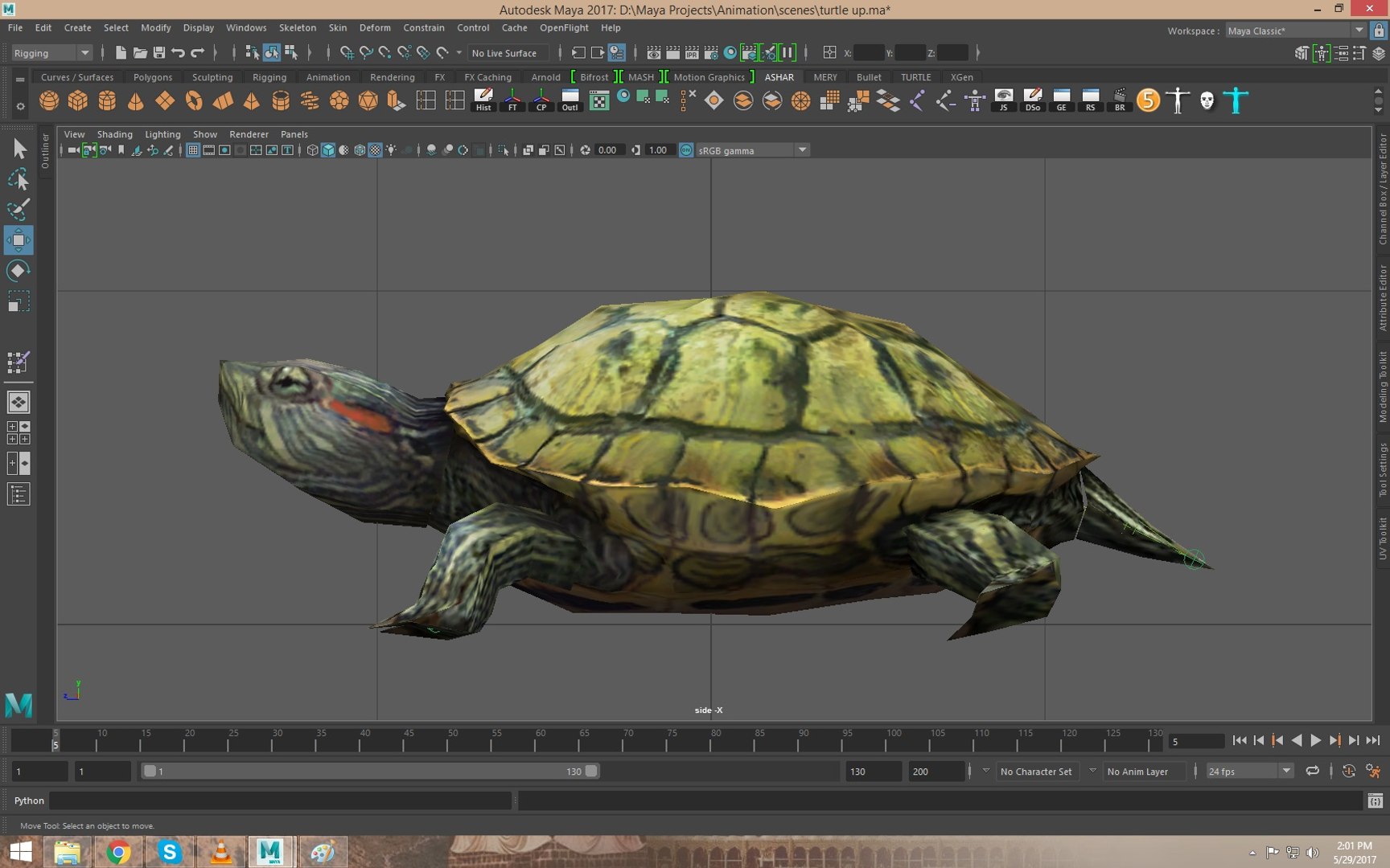 Rigged turtle 3D model - TurboSquid 1163911