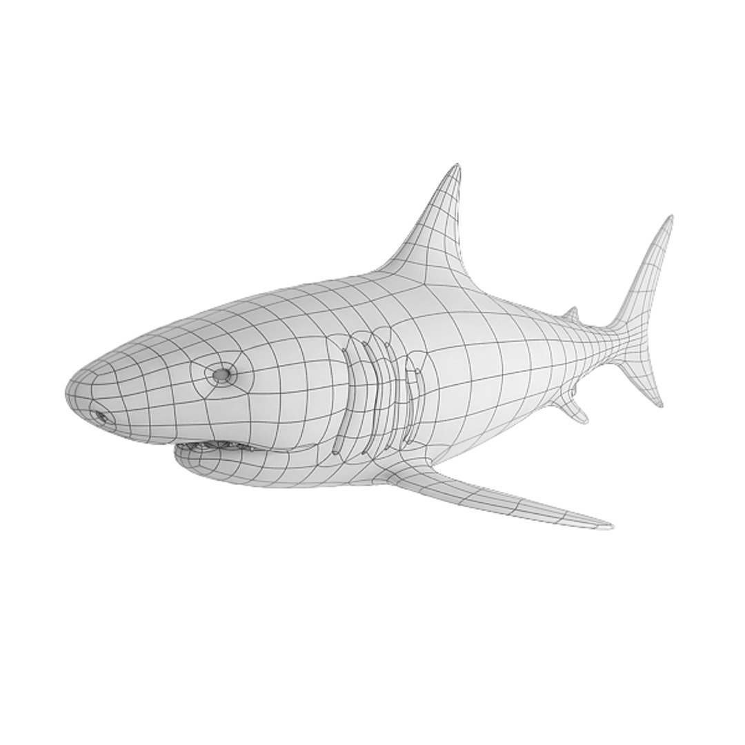 X Base Mesh Shark