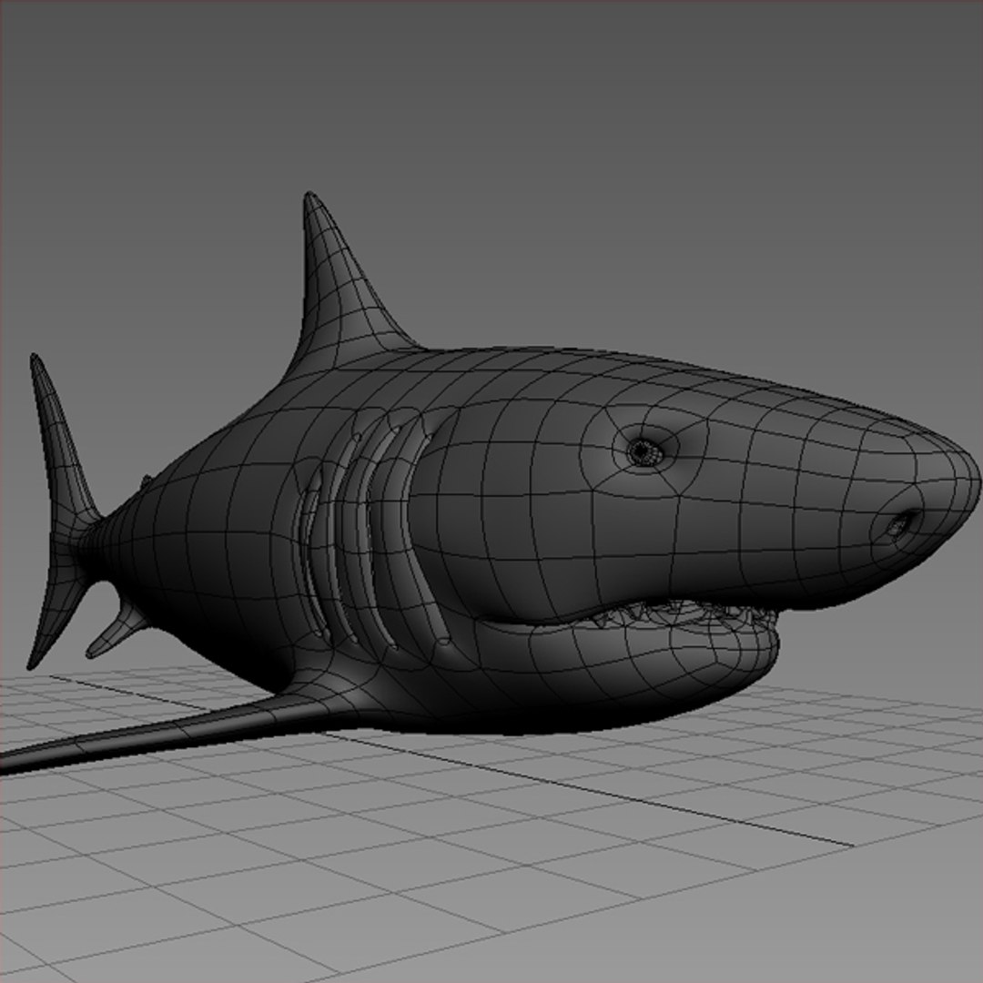 X Base Mesh Shark