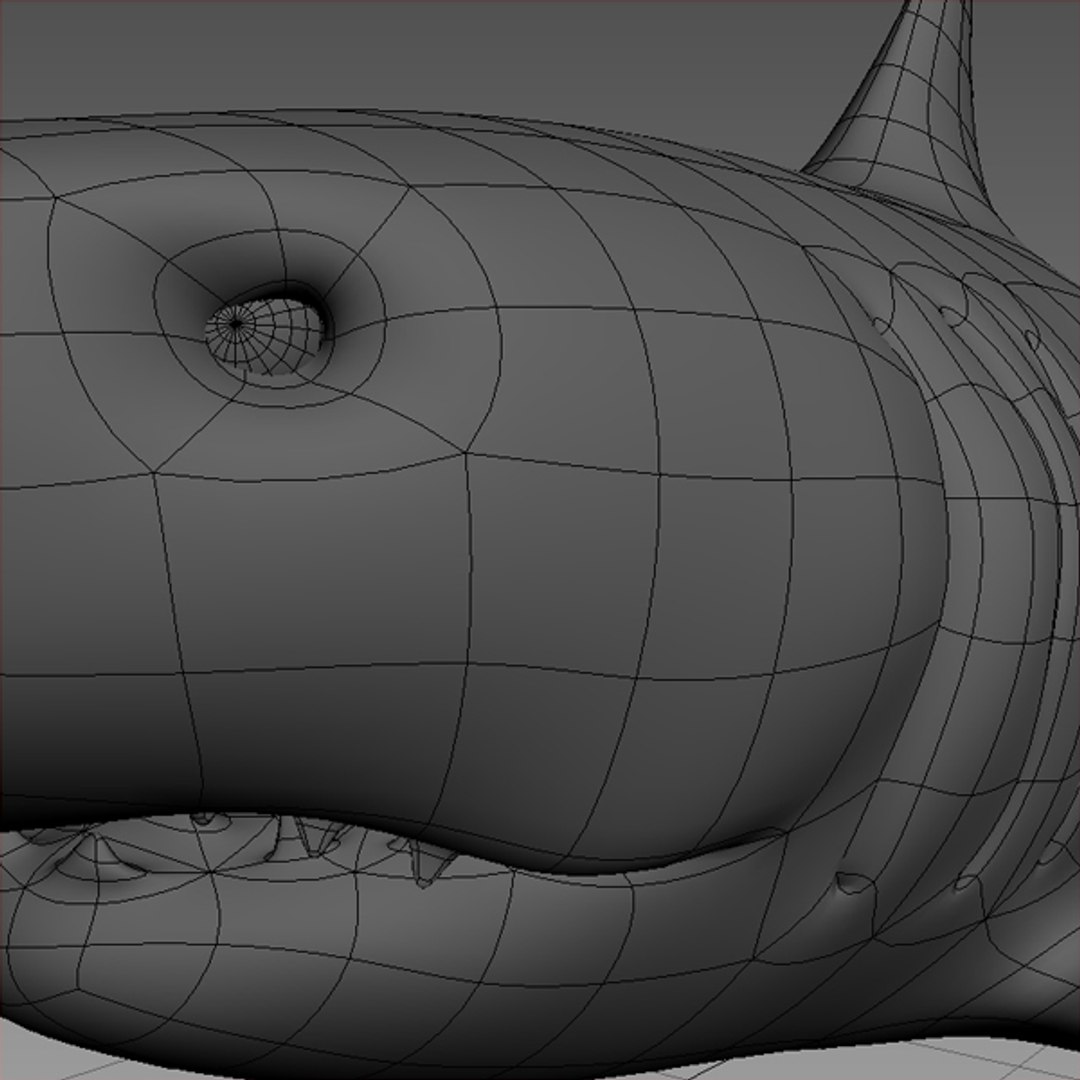 X Base Mesh Shark