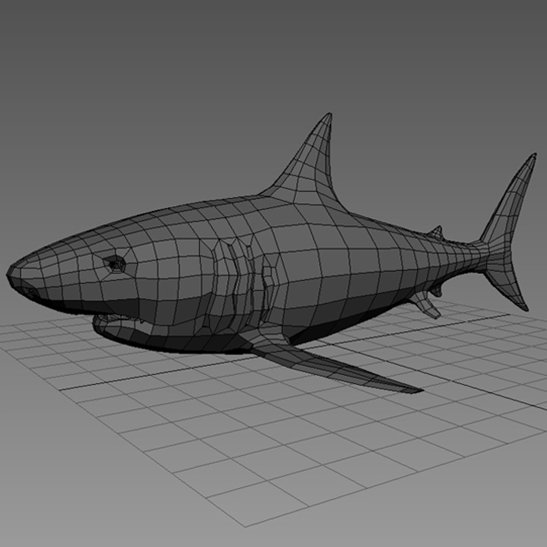 X Base Mesh Shark