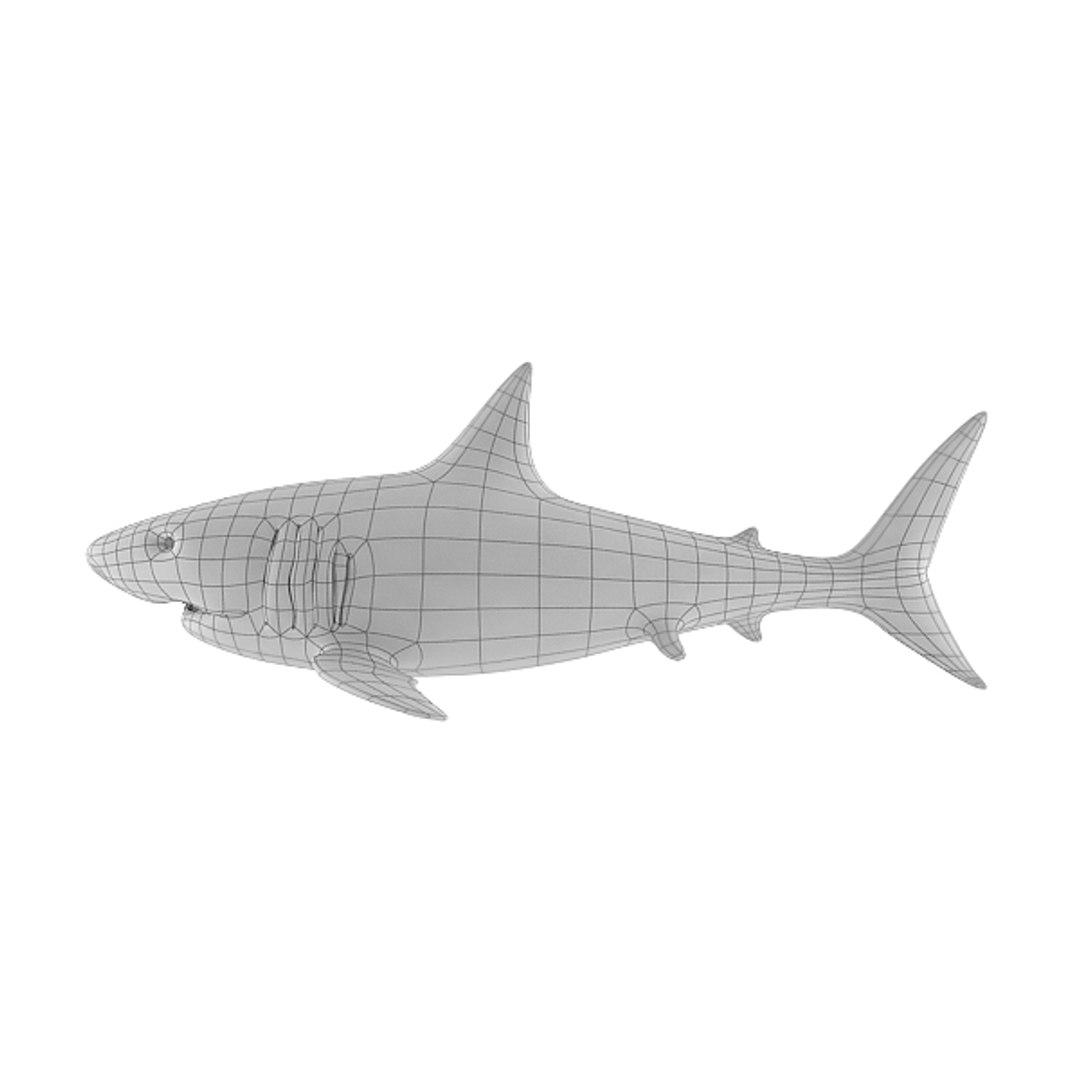 X Base Mesh Shark