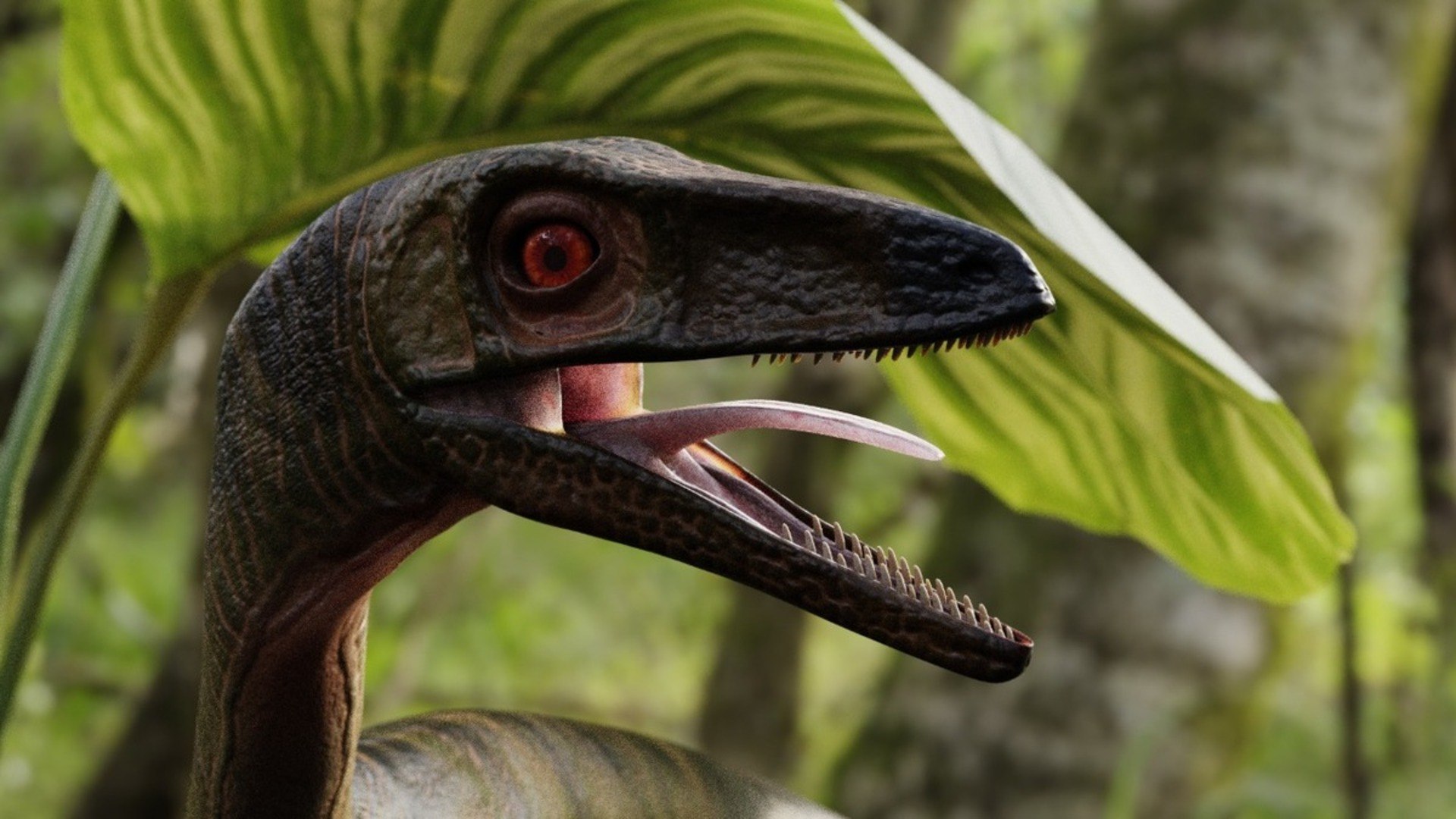 3D Compsognathus Animated 3d Model - TurboSquid 2188716