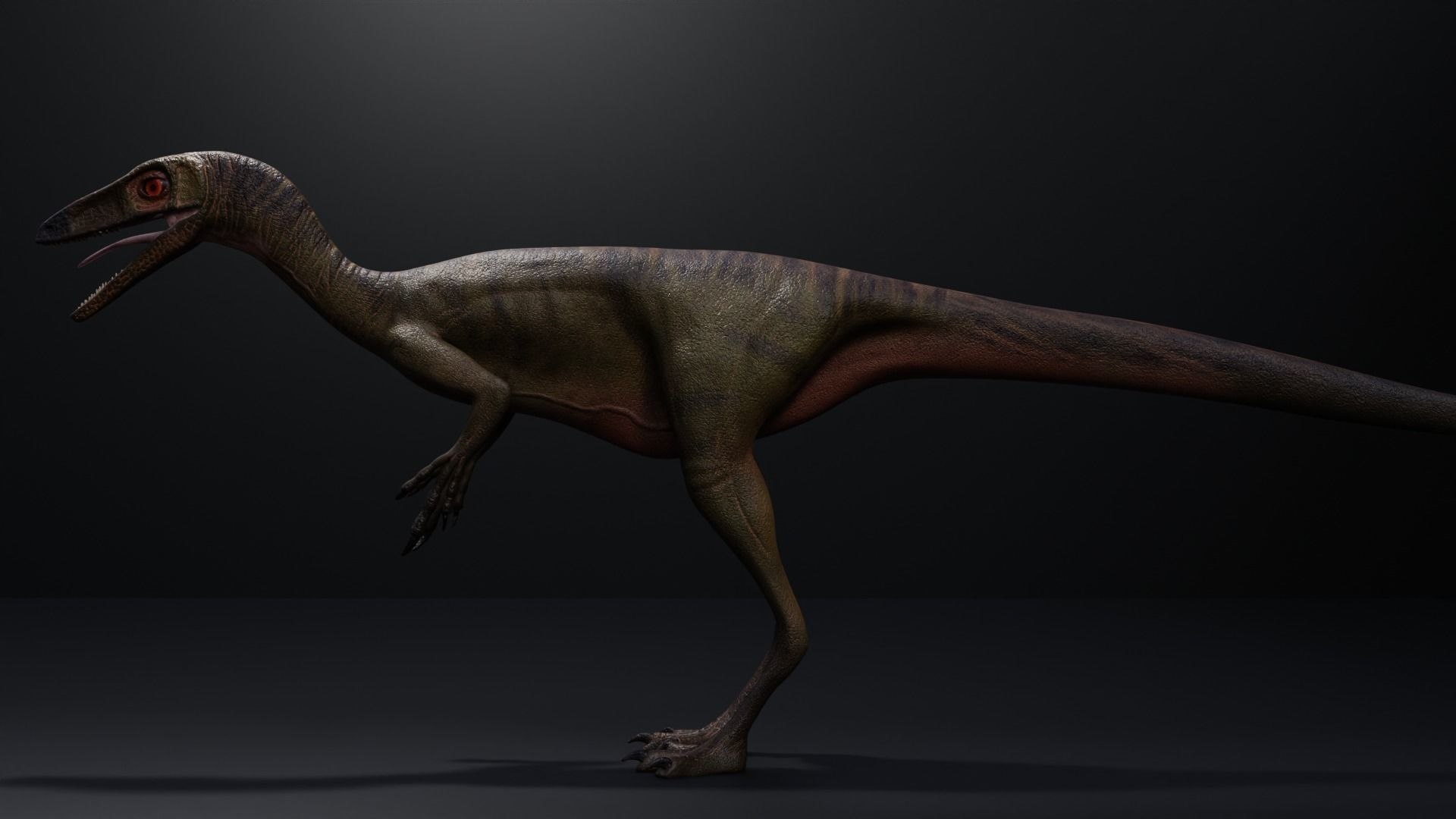 3D Compsognathus Animated 3d Model - TurboSquid 2188716