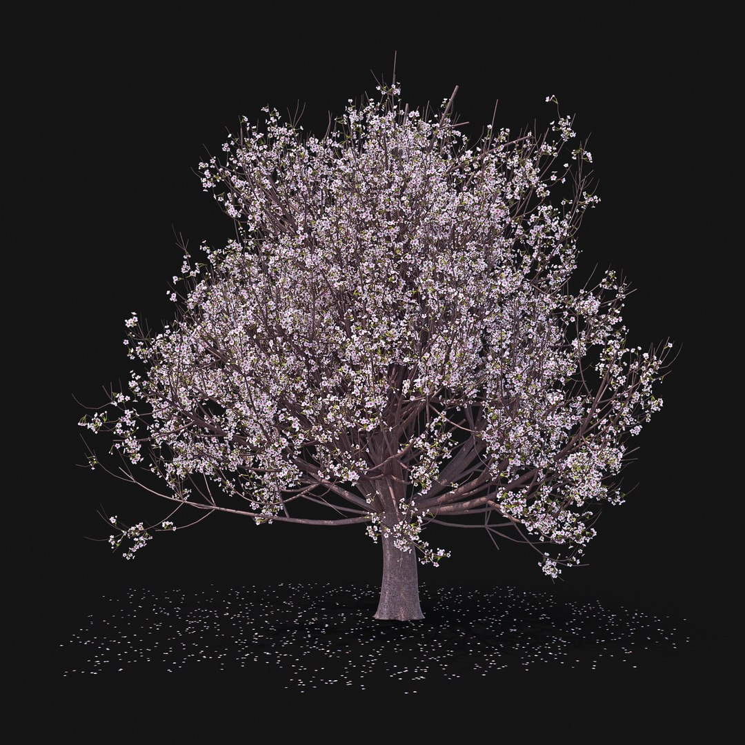 3D Model Blossom Tree 06 - TurboSquid 1221205
