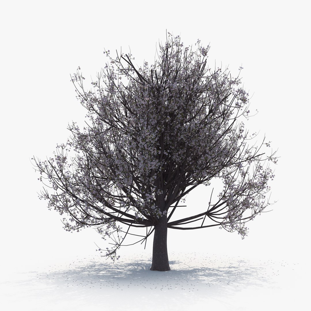 3D Model Blossom Tree 06 - TurboSquid 1221205