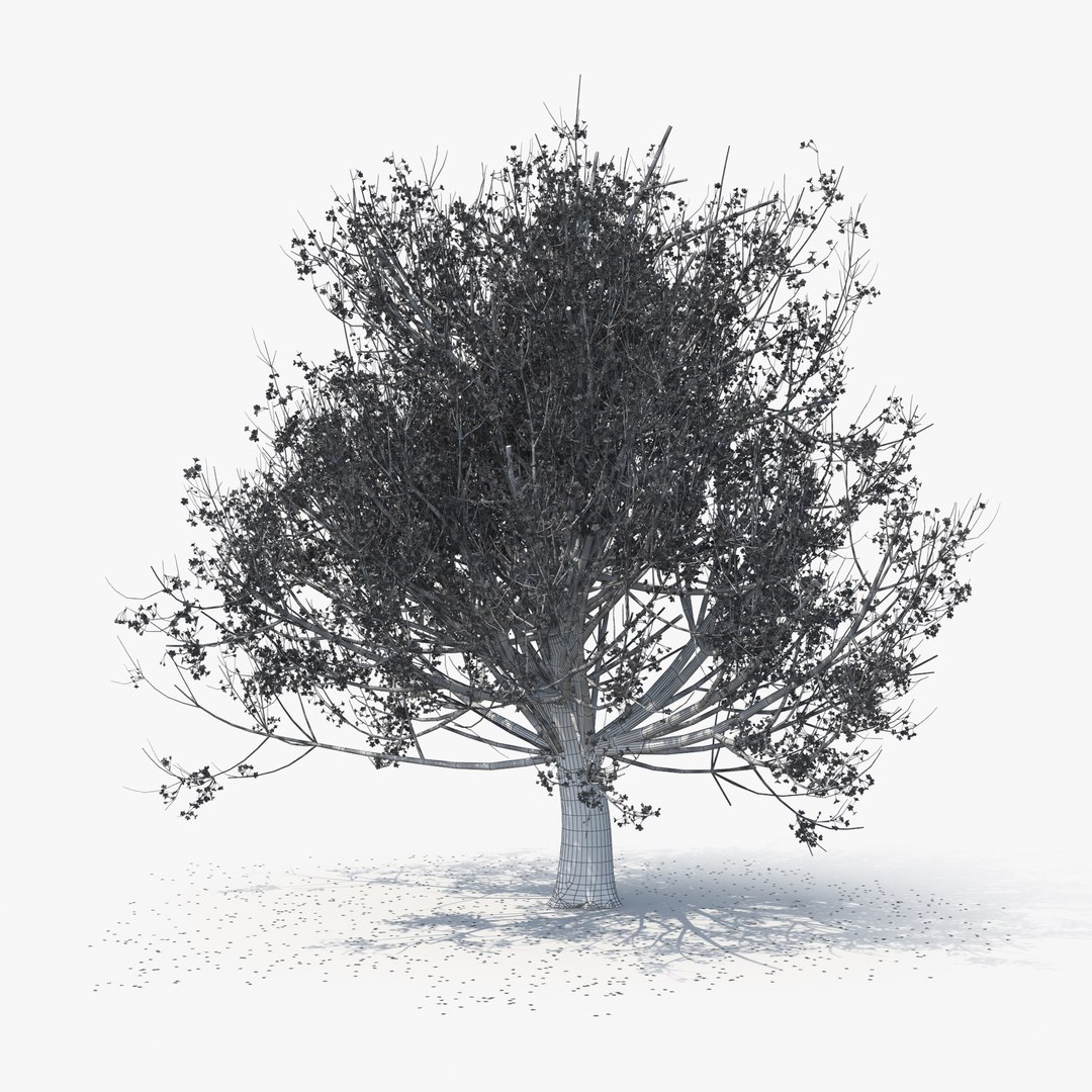 3D Model Blossom Tree 06 - TurboSquid 1221205
