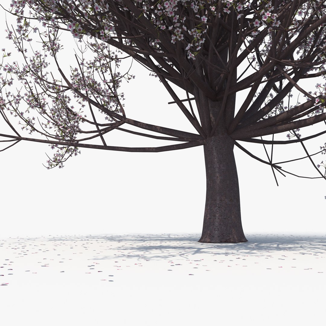 3D Model Blossom Tree 06 - TurboSquid 1221205