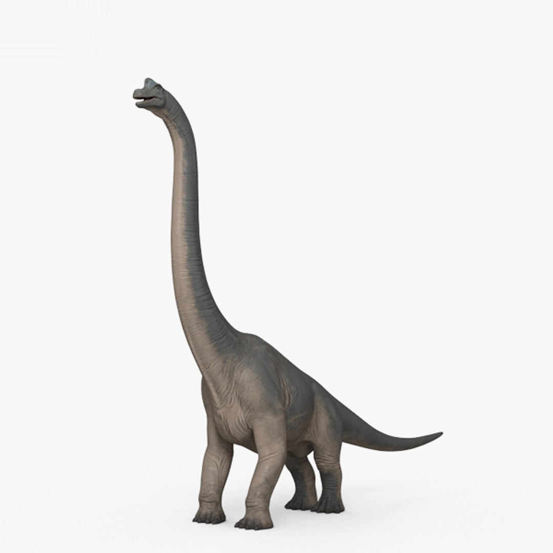 Brachiosaurus HD 3D-Modell - TurboSquid 1499464